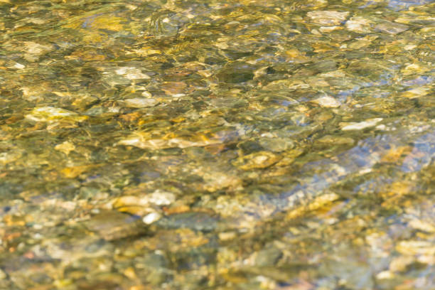 Free picture: pebbles, riverbed, stones, riverbank, texture, stone ...