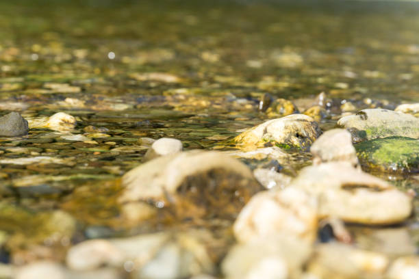 Free picture: motion, riverbank, riverbed, water, river, nature, creek ...