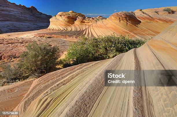 Wave 코요테 언덕 0명에 대한 스톡 사진 및 기타 이미지 0명 경관 곡선 Istock