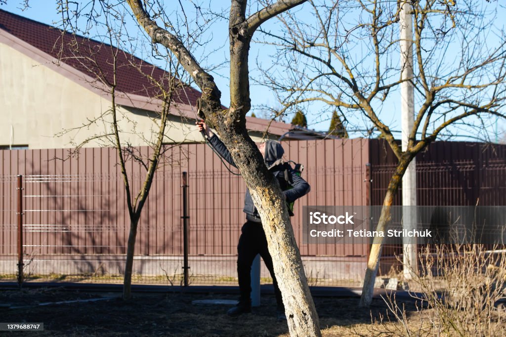 Fumigating Pesti Pest Control Defocus Farmer Man Spraying Tree With