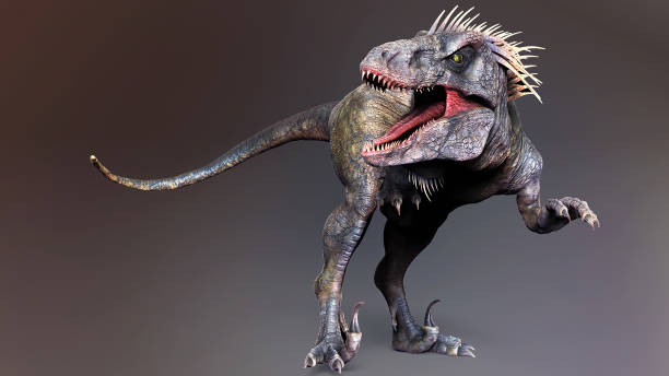 Raptor Pictures | Download Free Images on Unsplash