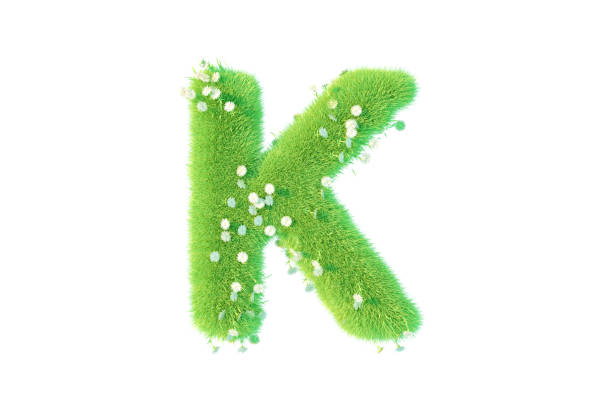 K Beauty Pictures | Download Free Images on Unsplash