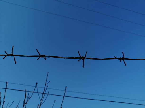 Free Stock Photo of Barbed wire fence topper | Download Free Images and ...