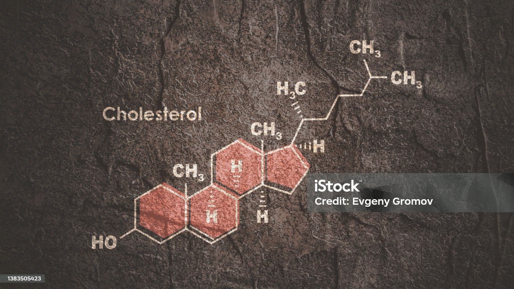 Formula Kimia Struktural Kolesterol Ilustrasi Infografis Ilustrasi Stok