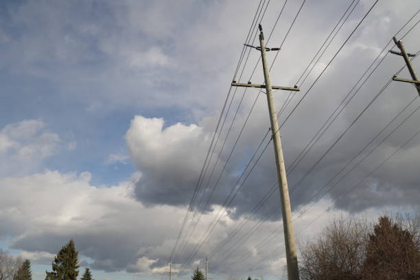 Free Stock Photo of Star-filled night sky with utility poles and cables ...