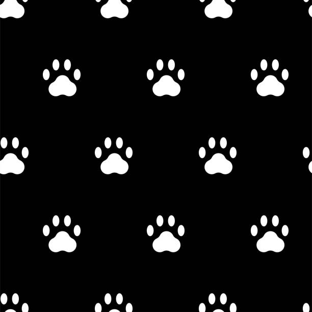 60 Sanicle Patte Dours Illustrations Graphiques Vectoriels Libre De