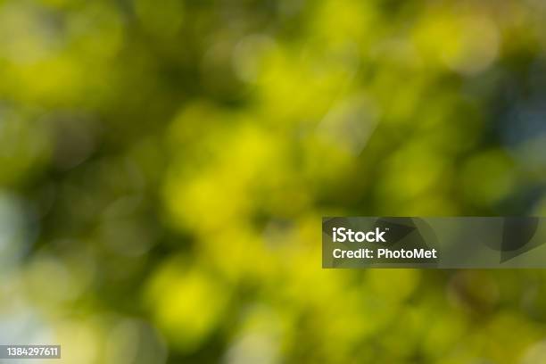 Latar Belakang Bertema Alam Abstrak Kabur Dengan Efek Bokeh Dan Nuansa