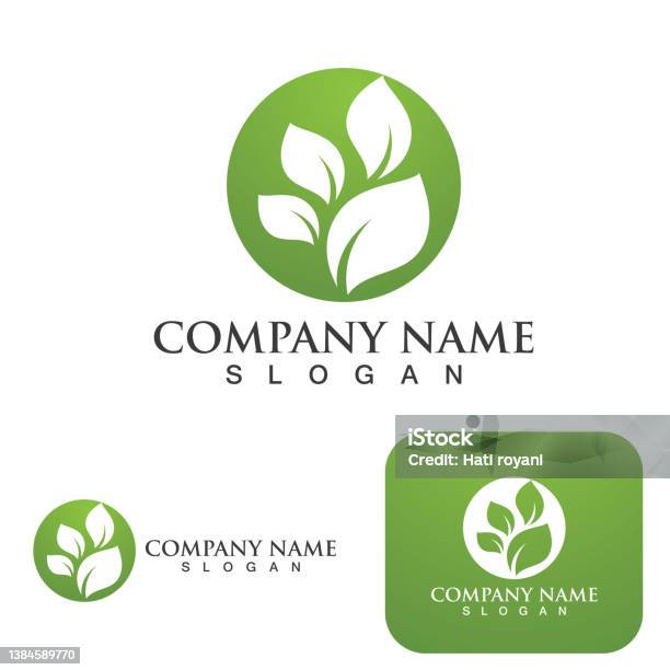 Logos De Vert Modèle Décologie De Feuille Darbre Logo Vectoriel