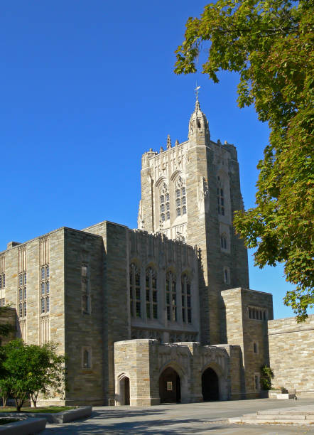 Princeton Pictures | Download Free Images on Unsplash