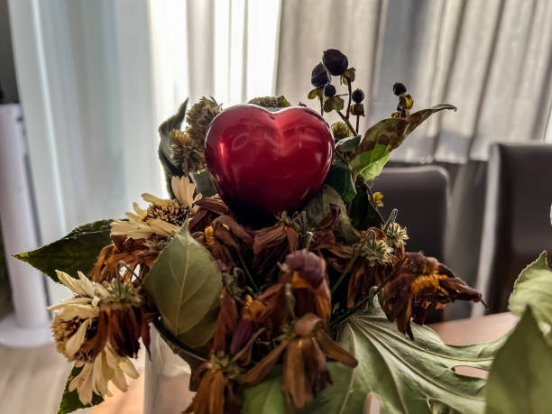 Free picture: flowers, bouquet, dry, still life, nostalgia, flower ...