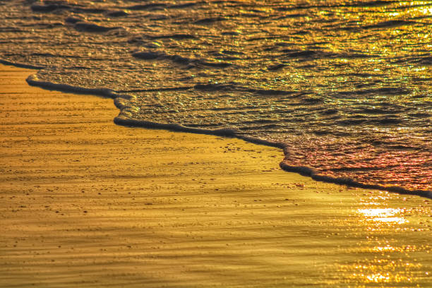 Free Stock Photo of Sunset casting golden light on a sandy beach ...