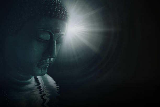Enlighten Pictures | Download Free Images on Unsplash
