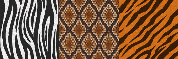 Free Stock Photo of Stripy animal skin effect pattern | Download Free ...
