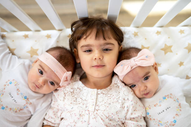 Free Stock Photo of Three young chicks at the nursery | Download Free ...