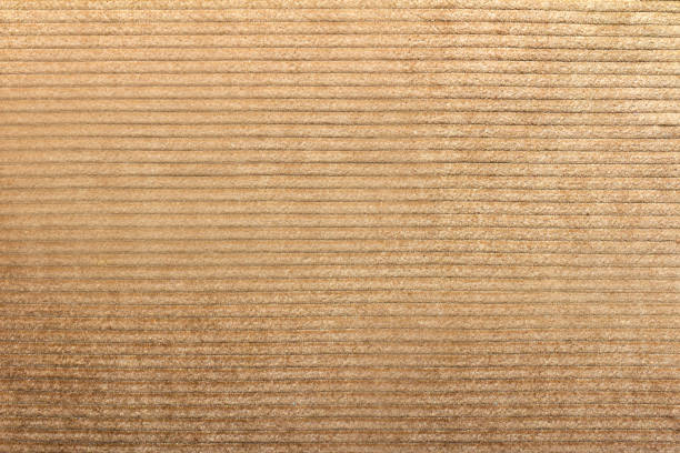 Corduroy Pictures | Download Free Images on Unsplash