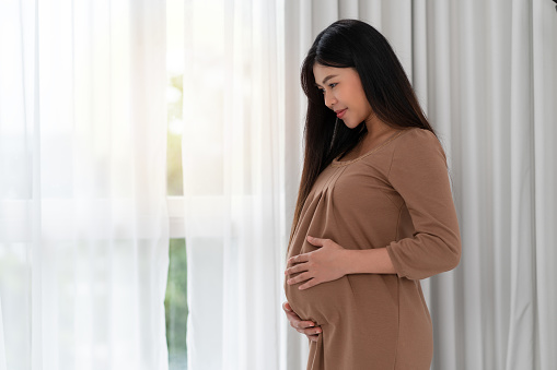 Asian Happy Pregnant Woman Is Standing Beside Windows And Touching Her
