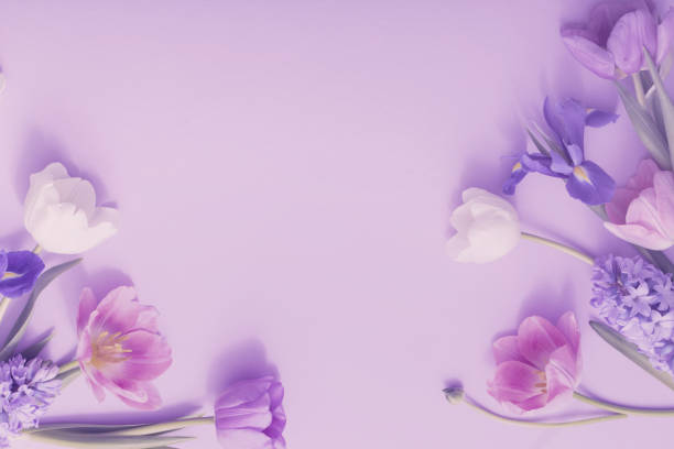 Free Stock Photo of Purple Floral Background Means Pretty Plants And ...