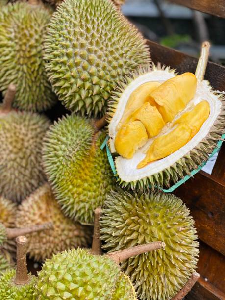 30k+ Durian Pictures | Download Free Images on Unsplash