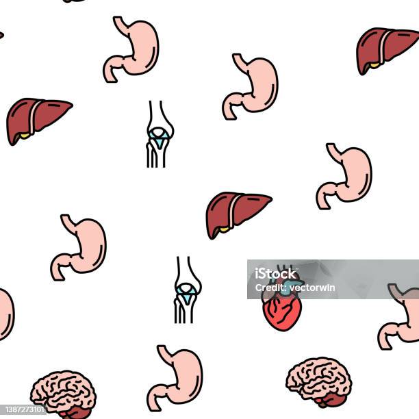Ilustración De Anatomía De Órganos Internos Humanos Vector Patrón Sin