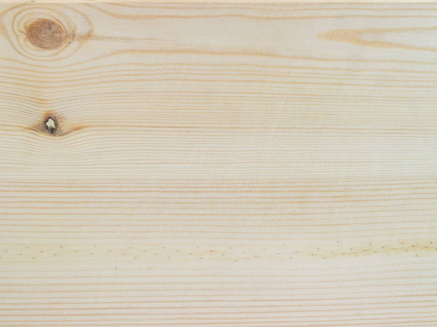 Free picture: Cross section of oak wooden plank knot