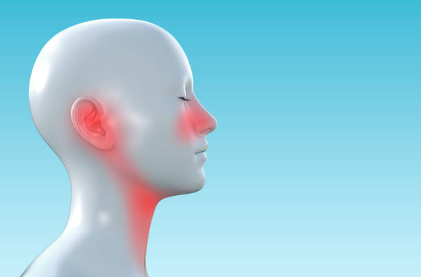 8 900 Sinusitis Ilustraciones Fotografías De Stock Fotos E Imágenes