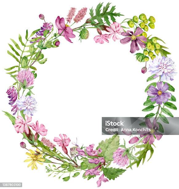 Couronne Daquarelle Avec Des Herbes Dessinées À La Main Et Des Fleurs