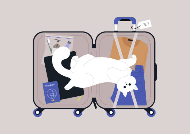 870+ Cat Curled Up Stock Illustrations, Royalty-Free Vector Graphics ... 870+ Cat Curled Up Stock Illustrations, Royalty-Free Vector Graphics ...