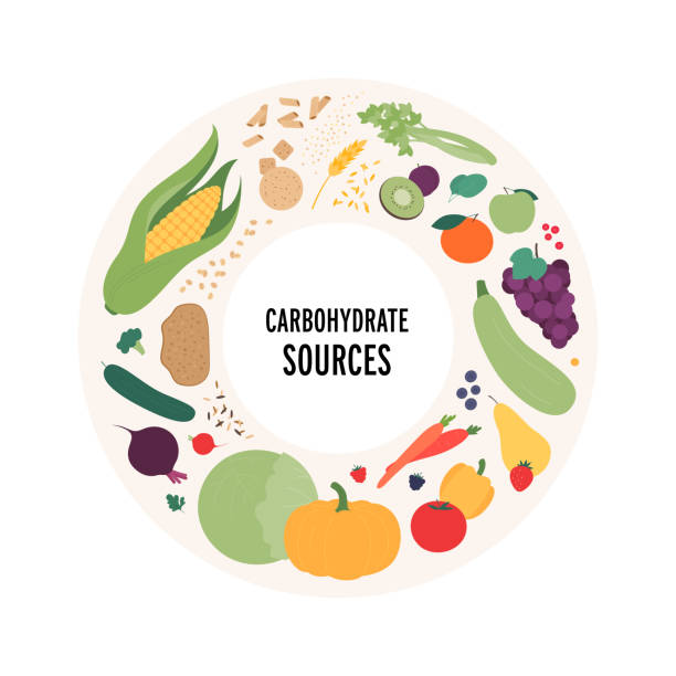 Sources Of Carbohydrates Clipart