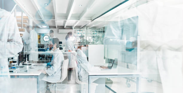 Science Research Pictures | Download Free Images on Unsplash