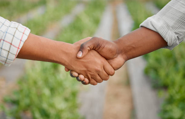 480+ Farmer Handshake Field Teamwork Stock Photos, Pictures & Royalty ... 480+ Farmer Handshake Field Teamwork Stock Photos, Pictures & Royalty ...