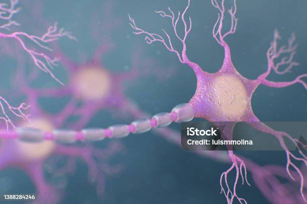 Célula Neuronal Humana Ilustración 3d Foto De Stock Y Más Banco De