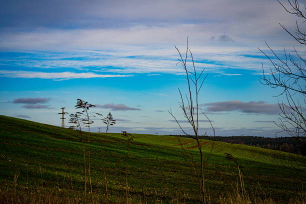 Best 500px Pictures [HD] | Download Free Images on Unsplash