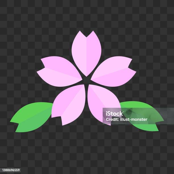 Bunga Sakura Terisolasi Pada Latar Belakang Hitam Transparan Vektor ... Bunga Sakura Terisolasi Pada Latar Belakang Hitam Transparan Vektor ...