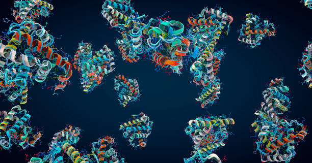 Peptide Pictures | Download Free Images on Unsplash