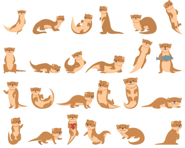 Dibujo De Nutria De Mar