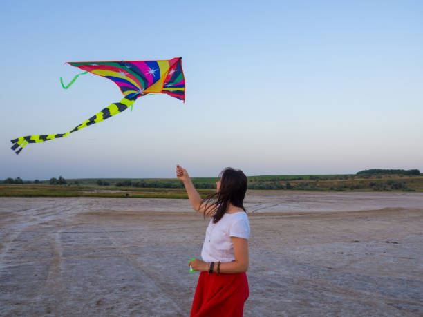 Free Stock Photo of Person Flying a Kite in the Sky | Download Free ...