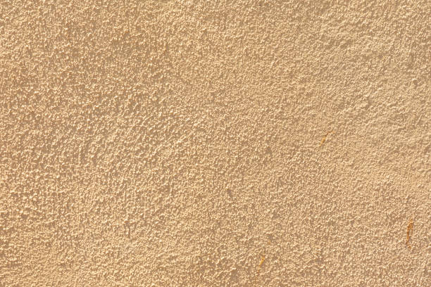 Ocre Pictures | Download Free Images on Unsplash