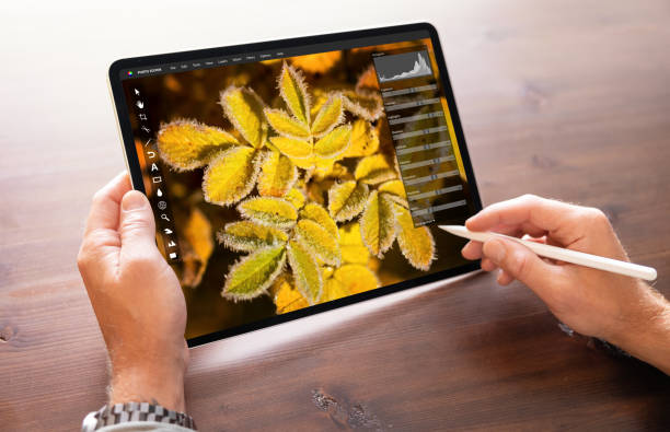 Photoshop Editing Pictures | Download Free Images on Unsplash