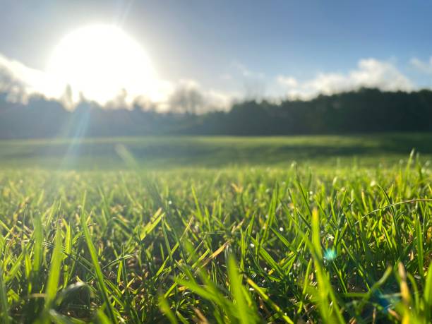 Free sunny weather stock photos. Download the best free sunny weather ...
