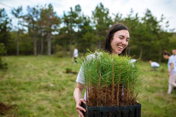 500+ Tree Planting Pictures [HD] | Download Free Images on Unsplash