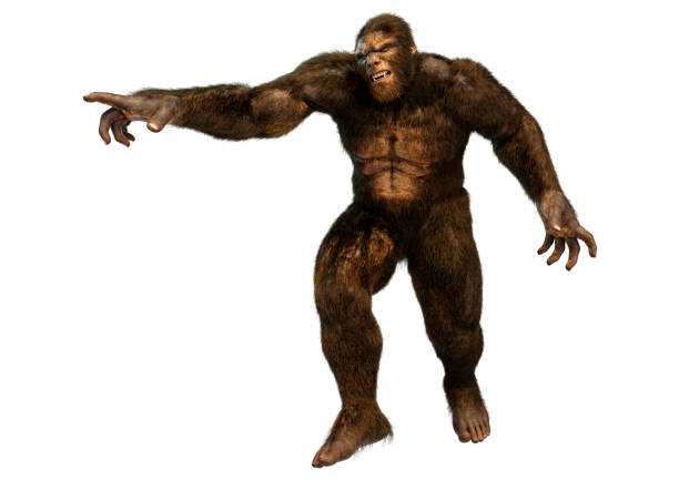 1500 Big Foot Monster Fotografías De Stock Fotos E Imágenes Libres