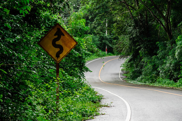 30k+ Roadside Pictures | Download Free Images on Unsplash