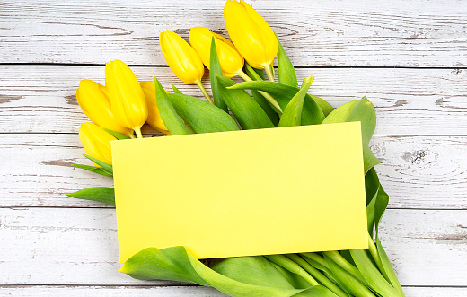 Foto Tampilan Atas Tulip Kuning Dan Amplop Pada Latar Belakang Kayu ... Foto Tampilan Atas Tulip Kuning Dan Amplop Pada Latar Belakang Kayu ...