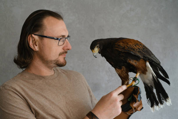 Free Stock Photo of Man Holding Bird in Hand | Download Free Images and ...