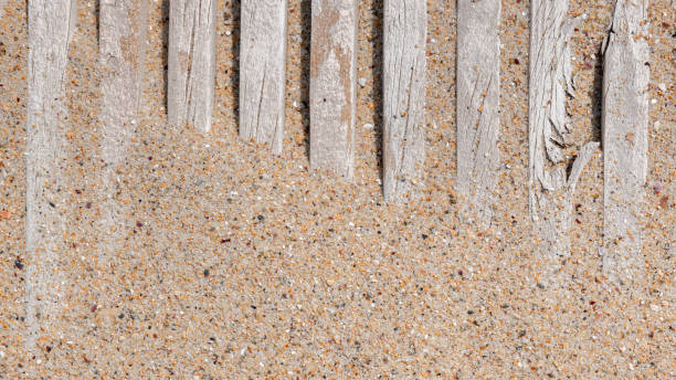 Free Stock Photo of Close-up of wood on the beach | Download Free ...