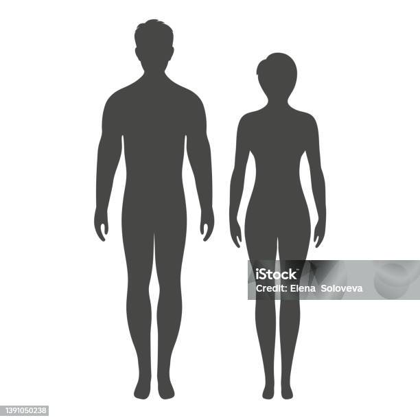 Silhouettes Dun Homme Et Dune Femme Sur Fond Blanc Vecteurs Libres De