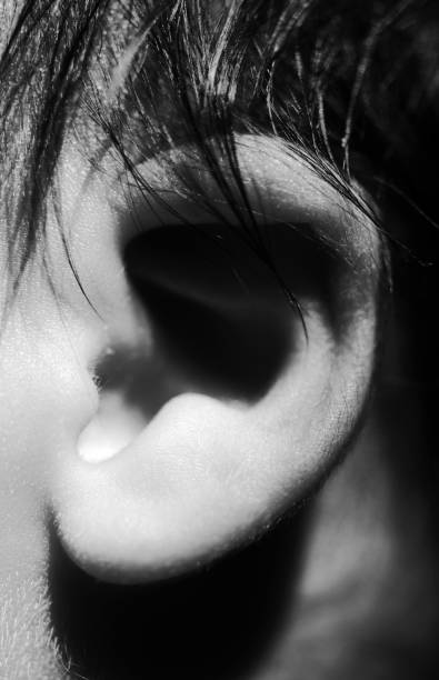 Human Ear Pictures | Download Free Images on Unsplash