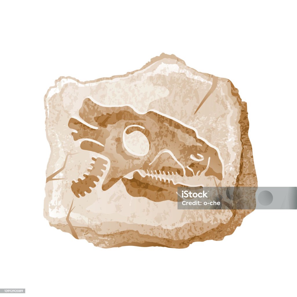 Kerangka Fosil Dinosaurus Vektor Tengkorak Tulang Dino Ilustrasi Kartun ... Kerangka Fosil Dinosaurus Vektor Tengkorak Tulang Dino Ilustrasi Kartun ...