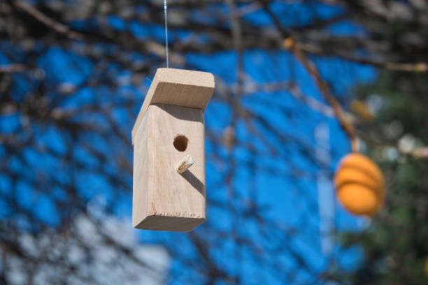 Free picture: Handmade decorated rustic bird house hanging on a tree