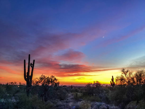 High Desert Pictures | Download Free Images on Unsplash